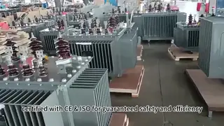11kv Oil Immersed Distribution Transformer