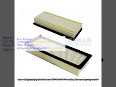 After Service Online support Industrial Machinery Auto Parts Air Filter OE 2667765 2593222 for element Excavator