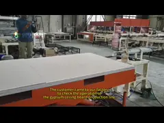 Automatic feeding machine