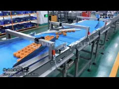 Pillow Packing Machine FDA-Compliant Sealing for Perishables/Premium FMCG Products