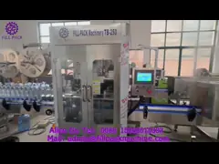 2067 M6 Vietnam 250 Dual-Plate Single-Head Labeling Machine