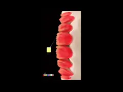 China Porcelain Emax Veneers With Cast Porcelain Ultra Thin Handmade Porcelain Stacking for sale