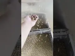 China Pet Food & Fish Feed Extruder Machine Baking Processing with Core PLC Motor Component for sale