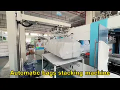 Automatic Bagged Plastic Bottle Palletizer Equipment For 2.5 Meter High Stacking