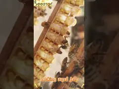 China 10-HDA Natural Fresh Bee Royal Jelly Light Yellow for sale