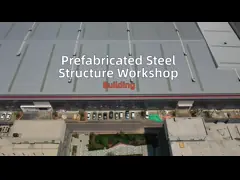 Pre-engineered structural steel workshop building_Xinguangzheng