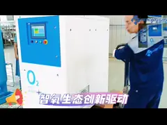 CE Certified Medical Modular Oxygen Gas Generators For Hospital