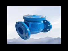 Ductile Iron Swing Check Valve Used To Prevent Medium Backflow