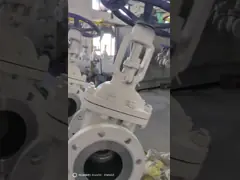 China DIN Handwheel Stainless Steel Gate Valve with Non Rising Stem and Seated CF8M for PN10-16 Pressure for sale