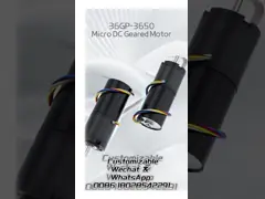 DC Planetary Gear Electric Motors