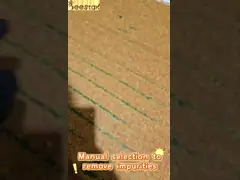 China 100% Natural Pure Fresh Tea Pollen Big Granular Raw Bee Pollen for Food High Quality for sale