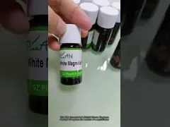 Watch: High Concentrated Victoria's Secret Inspired Perfume Oil with Free Sample and 5kgB