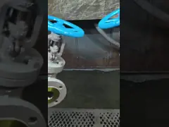 Globe valve stop valve