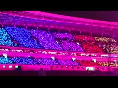 I LED, che sono gestiti senza fili, illuminano come Sterne in un concerto in diretta