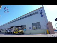 China High Quality Luxury Mini Car Electric Golf Cart 2 Seater Golf Buggy with Lithium Battery for sale