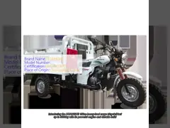 150cc Heavy Load Cargo Tricycle with 3000kg Capacity