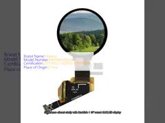 1,39“ AMOLED-Display H139BLN01.0, 400×400 Auflösung, 24PIN MIPI-Schnittstelle, hohe Klarheit