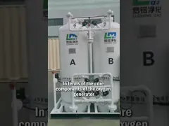 Luoming Sauerstoffgenerator - Kernkomponenten und Systemdesign