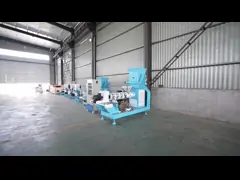 China Continuous & Automatic Pet Food Extruder Machine 380V/50Hz with Various Shapes Moulds for Dry Dog Food Production for sale