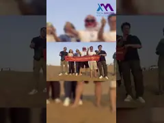 Cina Sistemi del compressore d'aria del veicolo per la pompa RQG100041 del compressore d'aria di scoperta II di Range Rover in vendita