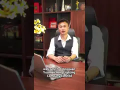 company introduction