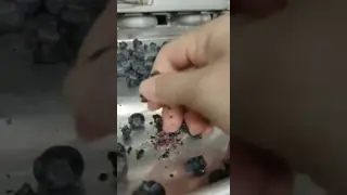 Watch: Industrial Lyophilizer Precision Drying for High-Value Ingredients  Bulk Contract singe