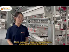 China 6. No feed is accumulate at the front and rear and no need small feed bucket for day old chicks for sale