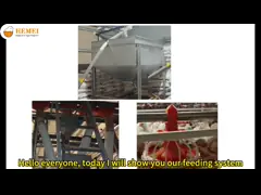 Feeding system