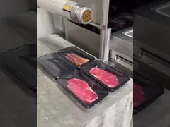 China Factory Direct Sell Commercial  Automatic Modified Atmosphere Vertical Sealer Plastic Customized Tray DQ305L-E Tray Sealer for sale