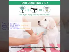 China Pet Grooming Dryer 2-in-1 with Comb Brush for Small Animals | 30×14×8cm Stainless Steel Design for sale