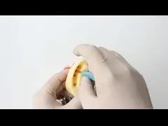 Cina Modello standard Dental Practice Studente Dental Tipodonti dentali in resina acrilica con Articulatore DP in vendita