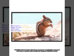 Indoor Advertising Equipment Customized 50 Inch Display Screen Multifunctional Wall Mounted Touch LCD Interactive Digital Signage