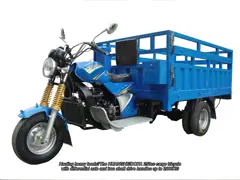 China Iron Shaft Drive Motorized 250cc Cargo Tricycle With Differential Axle For Heavy Loading for sale