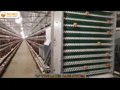 A type layer cage system