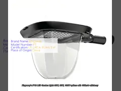 IP66 Rated LED Garden Light SMD3030 SMD5050 0-10V Dimming 10KV 150lm/w 30W 60W 100W