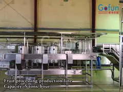 China Industrial Grade Tomato Processing Line with One-stop Solution for Continuous Manufacturing of Tomato Paste and Sauce for sale