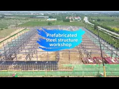 Prefabricated steel structure workshop_Xinguangzheng
