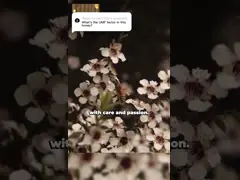 China Natural Bee Honey New Zealand Manuka Honey MGO 830+ UMF 20+ Natural Raw yellow honey in bulk Pure Raw Honey for sale