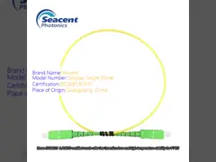 단순한 단일 모드 APC SC SC 섬유 접속 코드 0.5m 1.0m 1.5m 2.0m 길이
