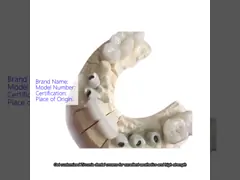 China Customized Zirconia Dental Crowns Excellent Aesthetics Durable Material for sale