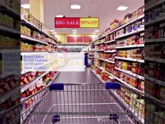 Scrolling Auto Rear LED Window Display Signs Full Color Programmable RS232 control