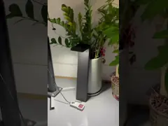 День солнца - 2509