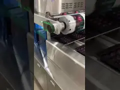 Factory Supply Fully Automatic Airflow Displacement Chain Plastic Tray Sealer DQ630AT-E High Quality Tray Sealer