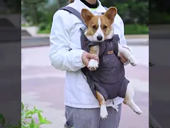 Winter Jacket Cat Clothes Adjustable Waistband Glow-in-the-Dark