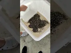 China LC-M4H Grain Color Sorter Machine Minerals CCD Color Sorter for sale