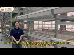 China H Type Multi Tiers Manual Harvesting Broiler Cage Equipment for sale