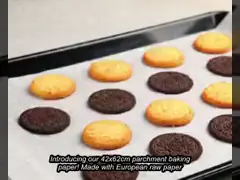 China Heat Resistant 42 X 62cm Grease Proof Paper Sheets Silicone Coating for sale