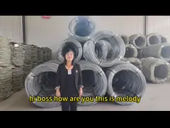 Bto 22 Bto 30 Cbt 60 Cbt65 Filo spinato antiruggine Lama di rasoio Filo spinato a spirale diametro 500mm