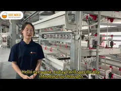 China 3. One-day old chicks can feed directly from the trough for sale