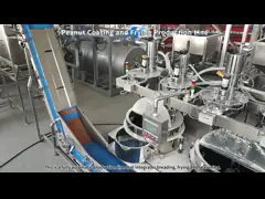 Frying Coated Peanut Production Line